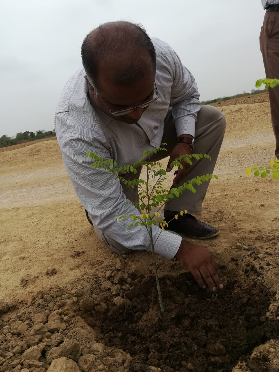 Asia Petroleum | Tree Plantation