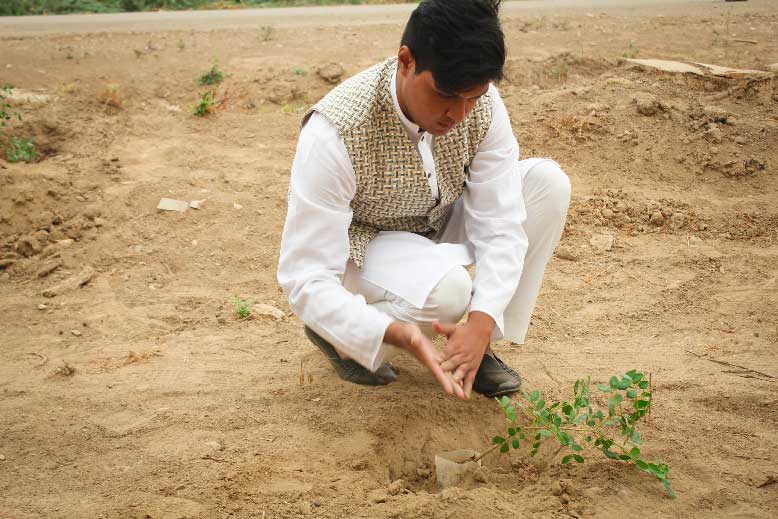Asia Petroleum | Tree Plantation